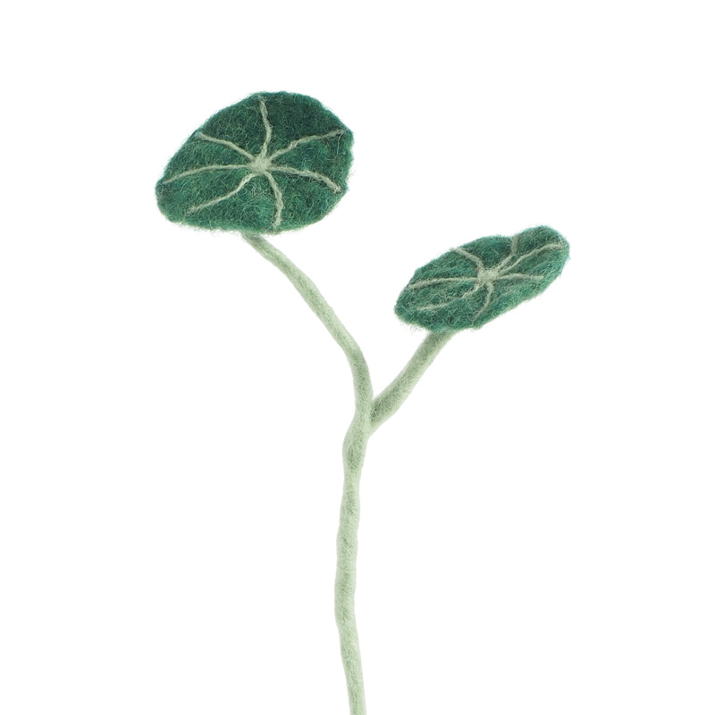 Fleur en laine - Stephania - Hyppairs Concept-store Lyon